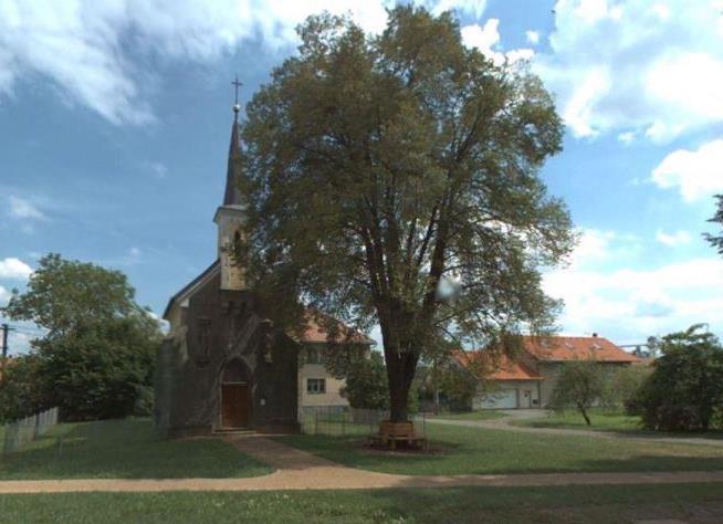 z Čech :: Rodokmeny-jancuru